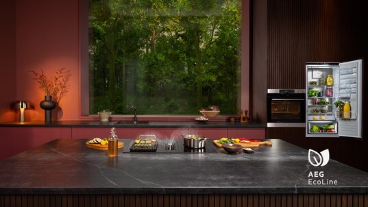 EcoLine | AEG